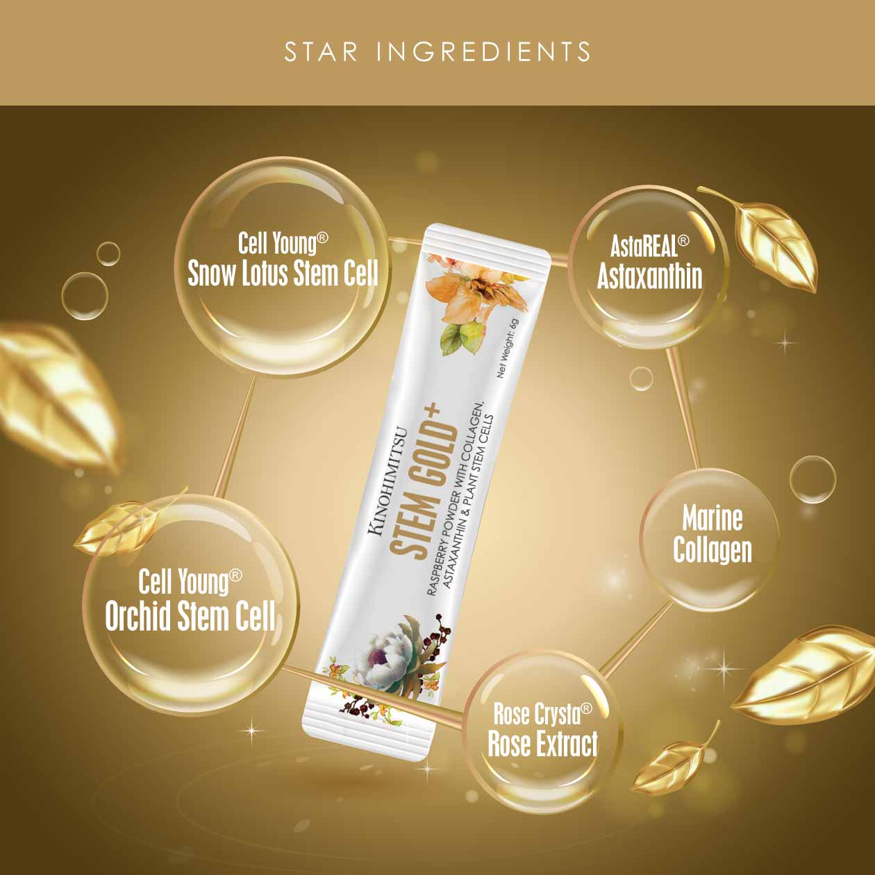 Kinohimitsu StemGold+ 30's - Manadr